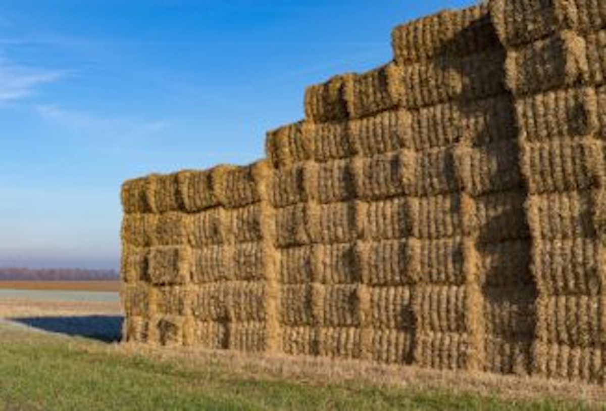 Build an Inexpensive Hay Shed - Countryside